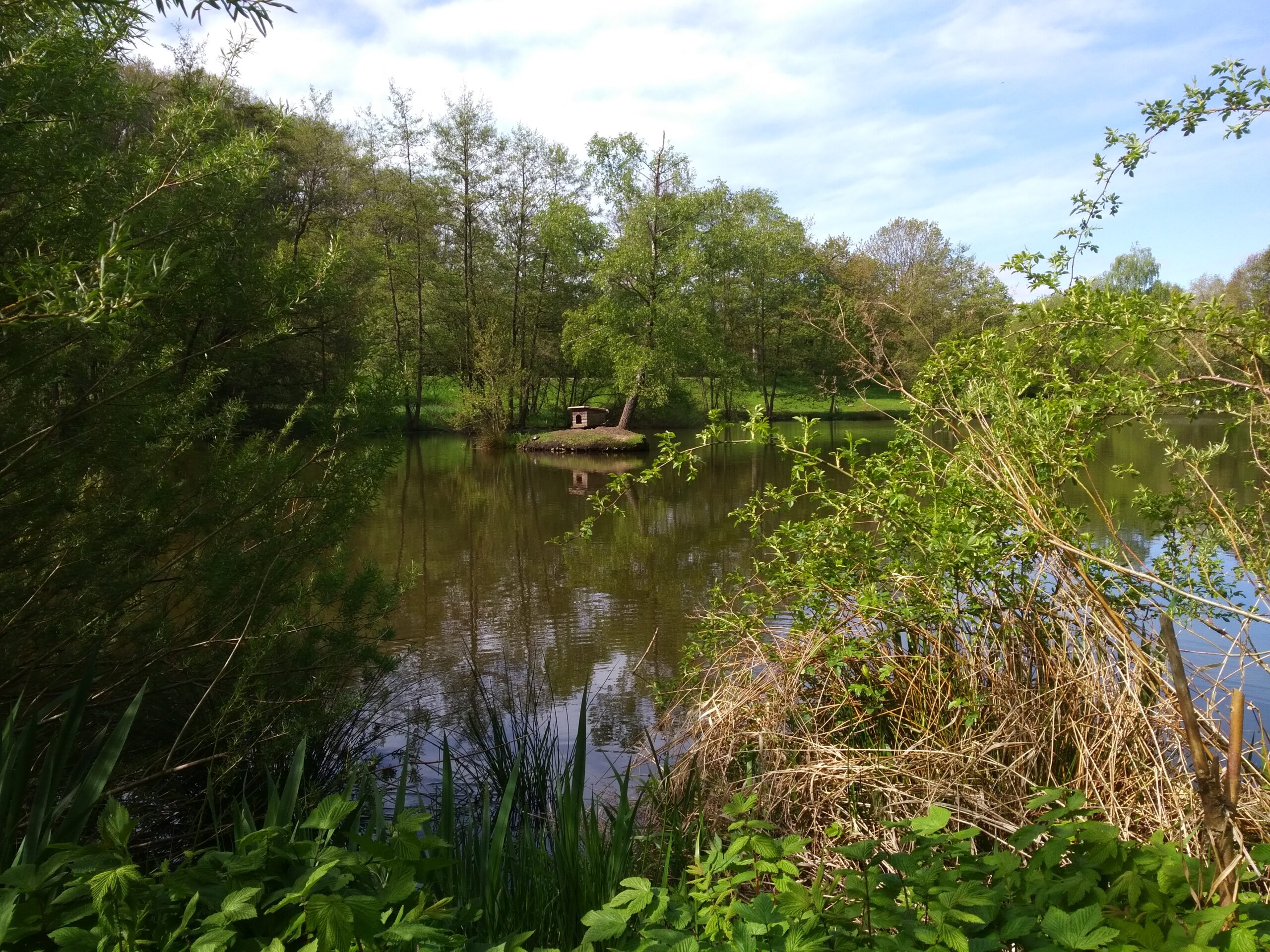 Ferienpark Frankenau – Waldhaus Frankenau